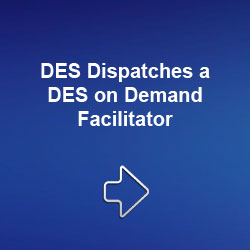 DES on Demand - DES Employment GroupDES Employment Group