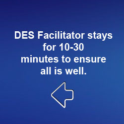 DES on Demand - DES Employment GroupDES Employment Group